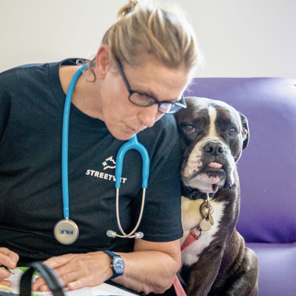 Ways to Support StreetVet - StreetVet